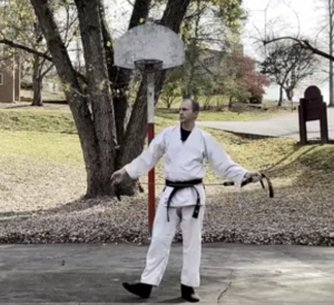 Free Lessons - Online Shotokan Karate Academy